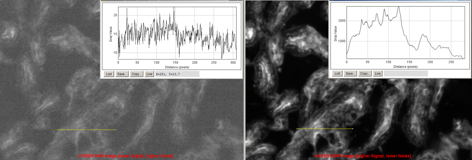 C11) Signal to Noise Ratio (SNR) - Scientific Imaging, Inc.