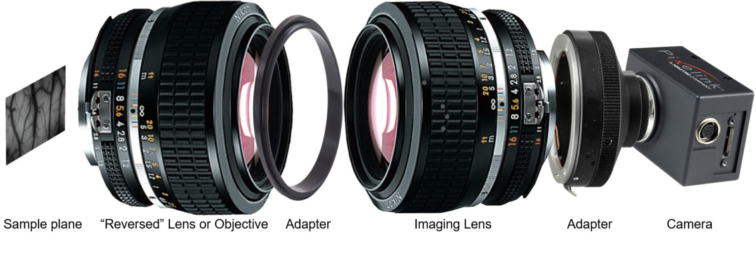 O8) Tandem Lens Macroscope configuration - Scientific Imaging, Inc.